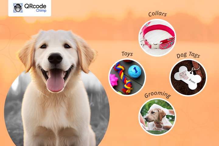 Don't Miss These Top 10 Must-Have Accessories for Dogs